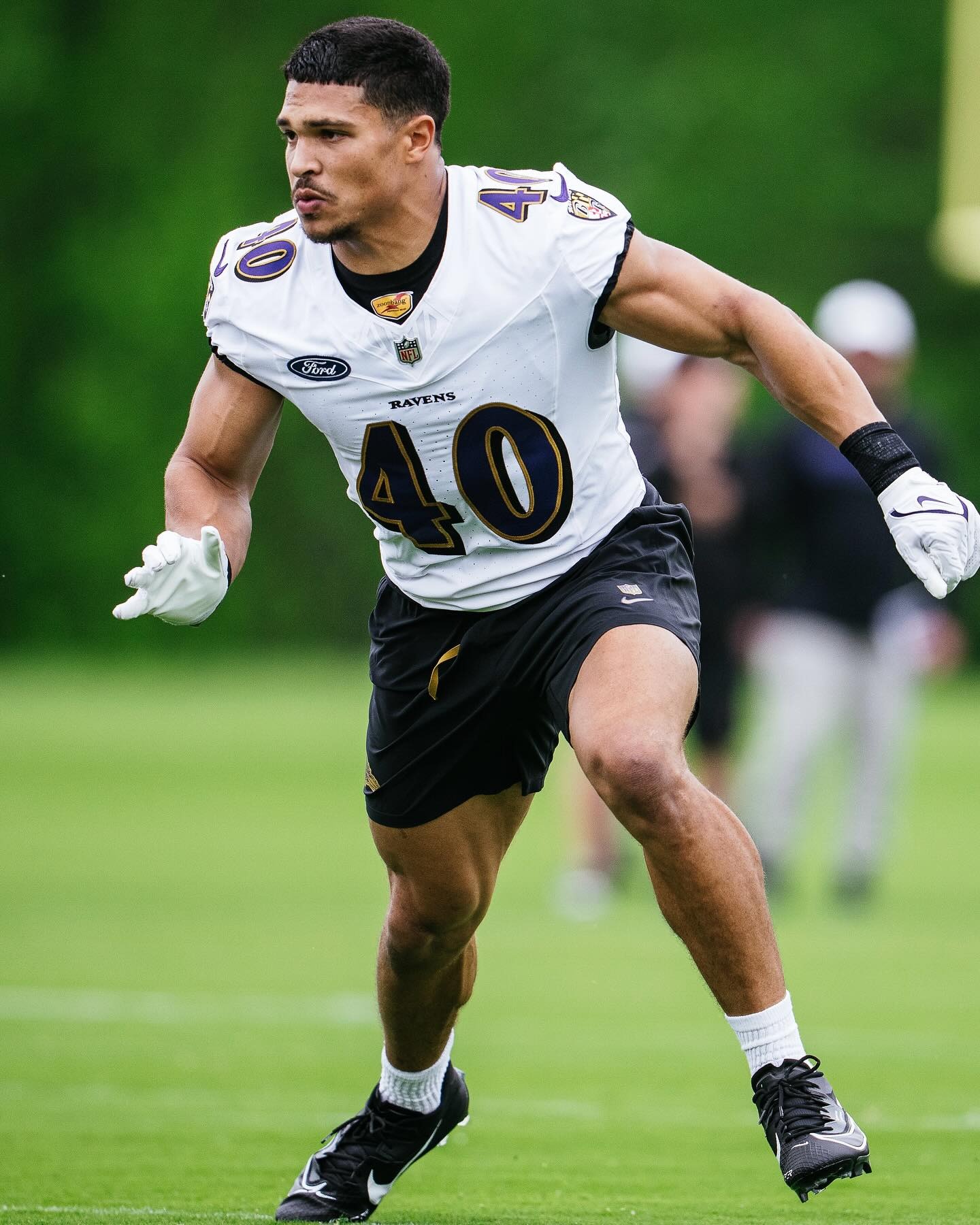 Ravens Rookie LB Could Have Big Debut - 24/7 News America