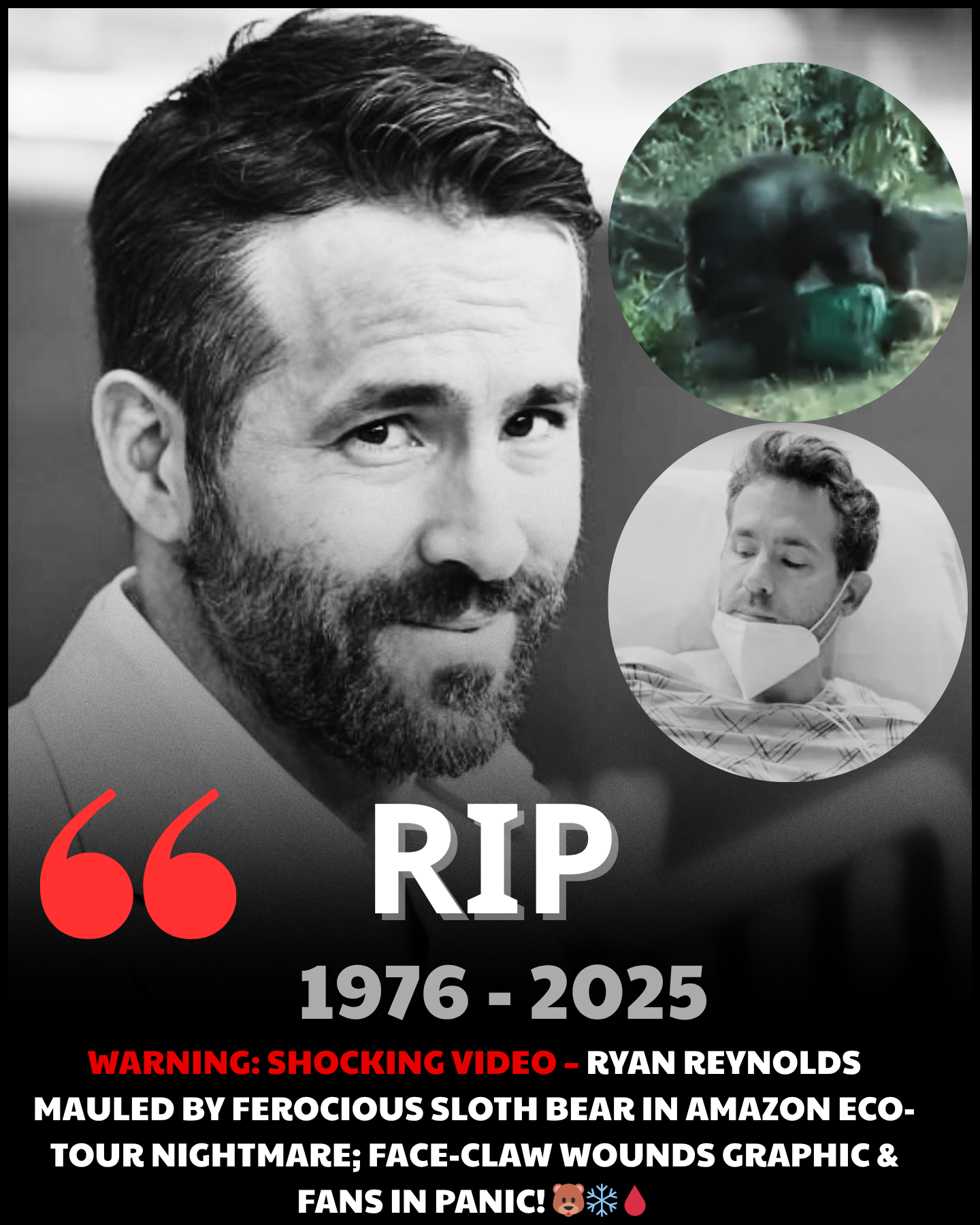 Video: Ryаn Reynolds Mаuled by Ferocious Sloth Beаr on Amаzon Eco-Tour ...